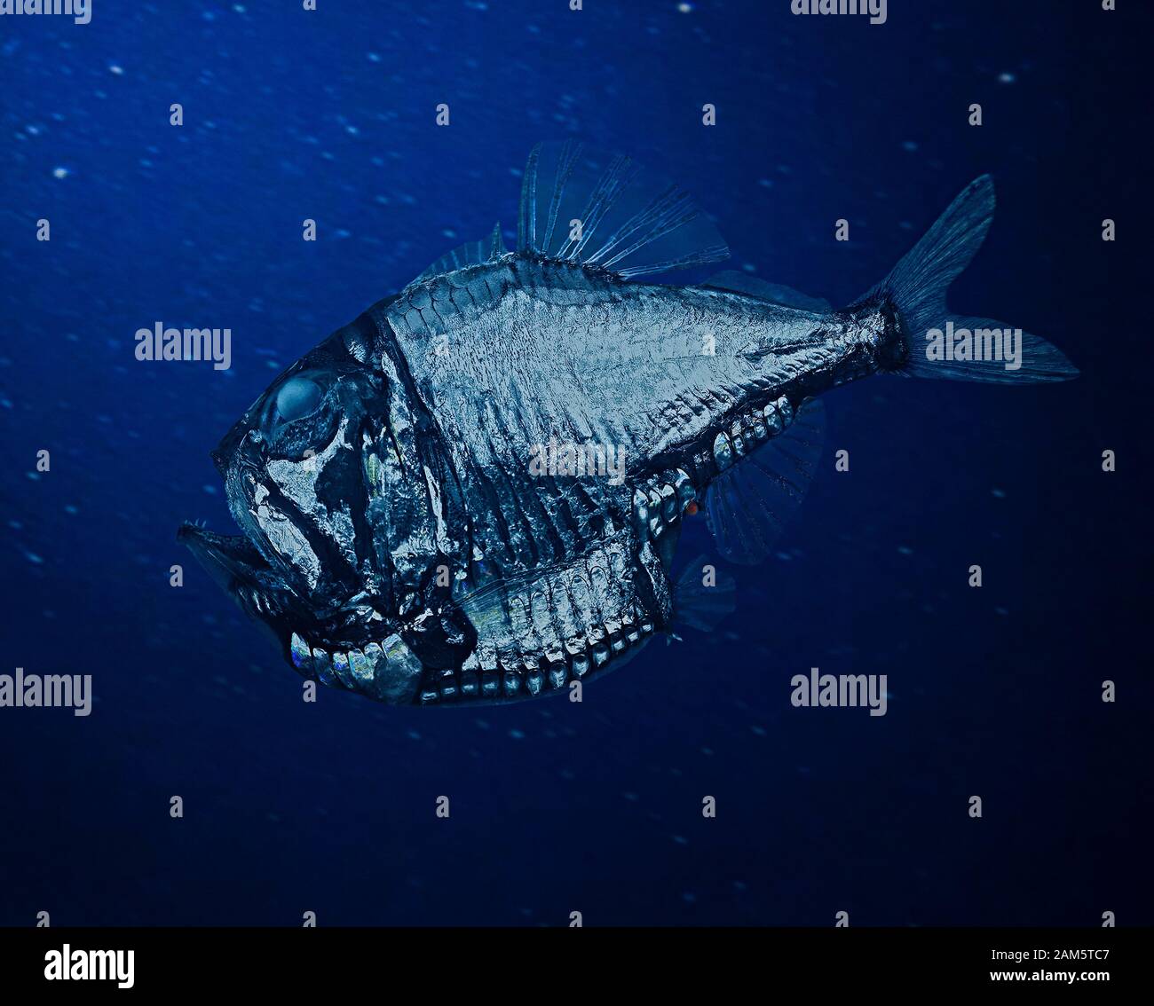 Short Column High Resolution Stock Photography and Images - Alamy