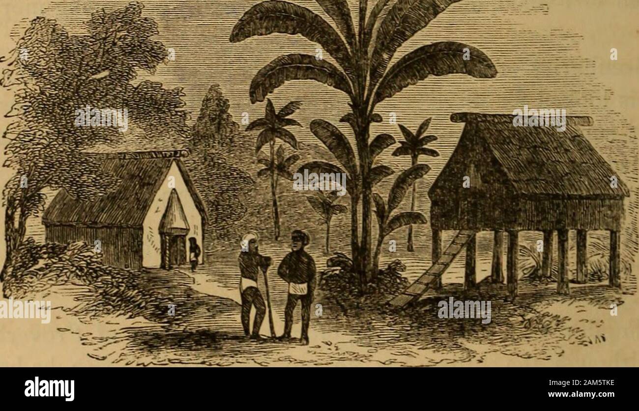 Split cane rods hi-res stock photography and images - Alamy