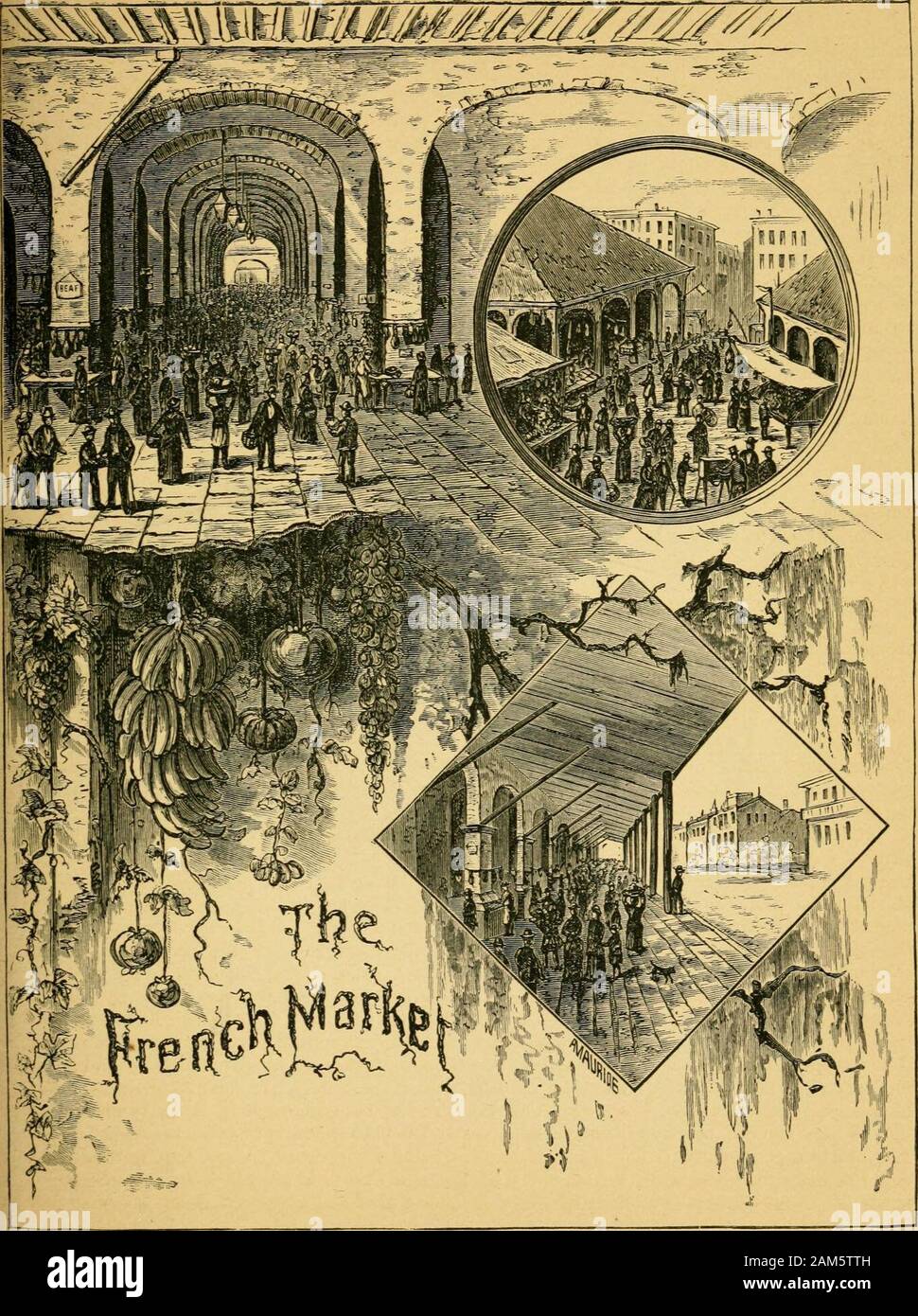 Map of creole hi-res stock photography and images - Alamy