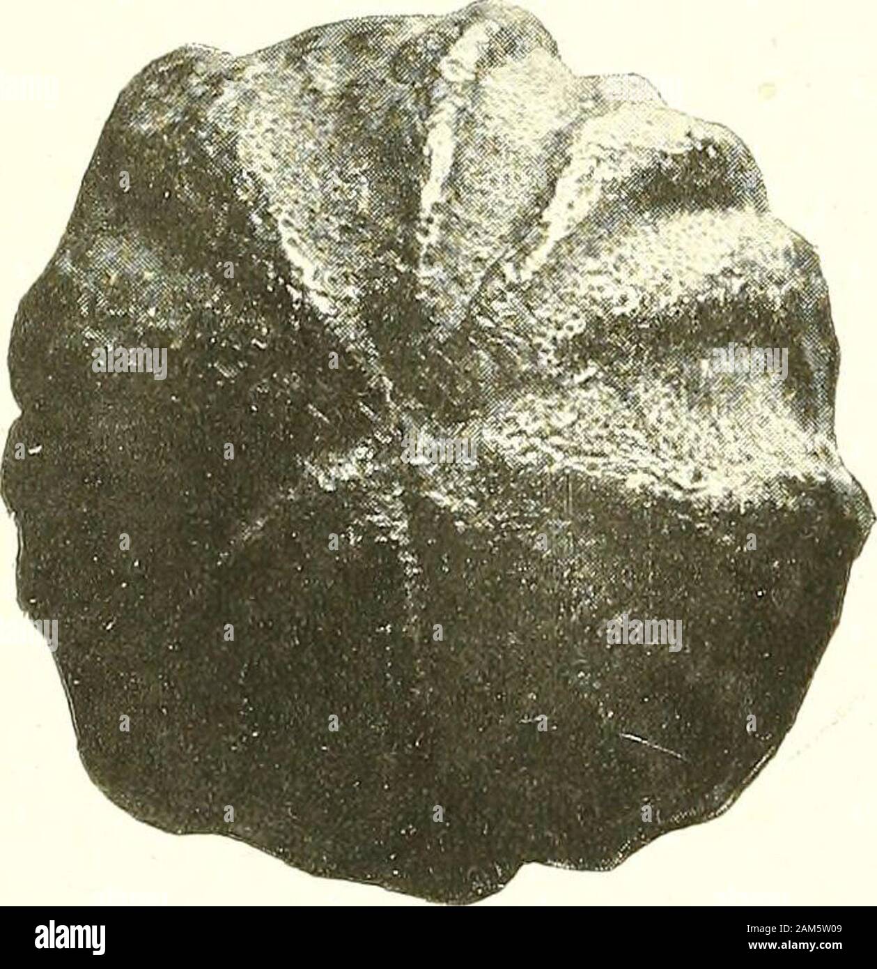 Bulletin of the U.SDepartment of Agriculture . Fig. 1.—Side View, Show ...