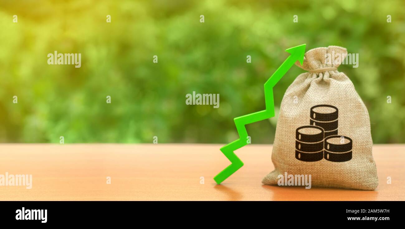 Money bag and a green arrow up. Stability, prosperity. Strengthening of ...