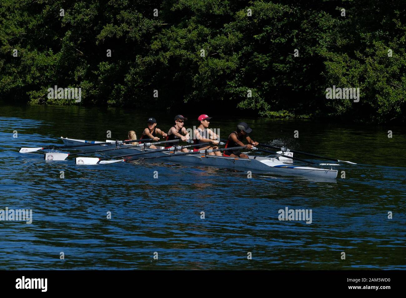 A lightweight Quad scull on the river thames Stock Photo - Alamy