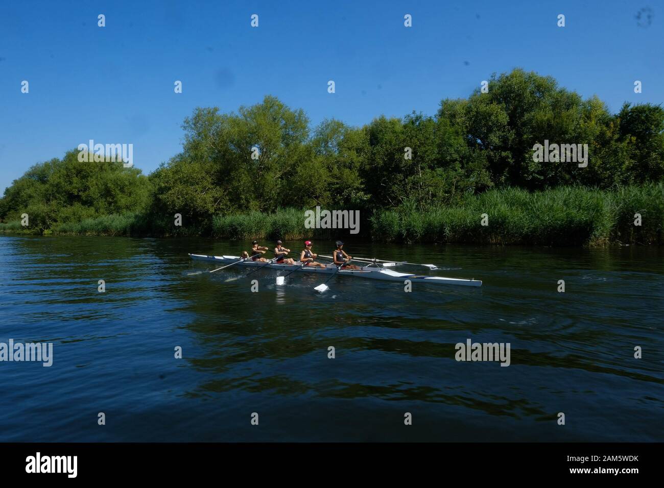 Quad scull hi-res stock photography and images - Alamy