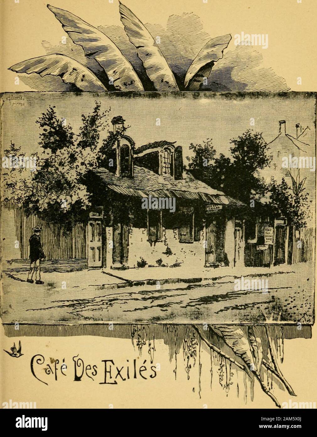 Creole map hi-res stock photography and images - Alamy