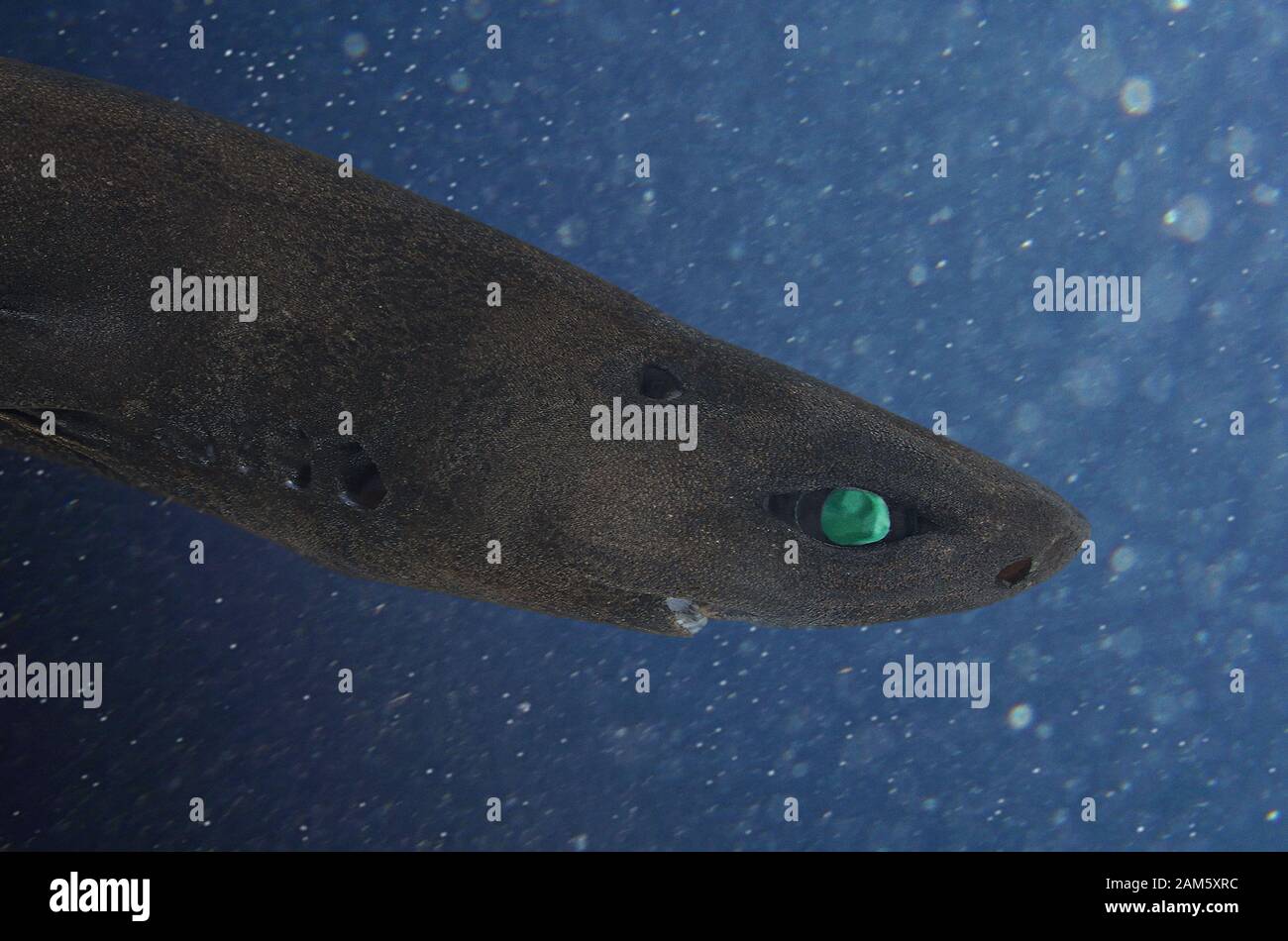 550 M 2 Stock Photos & 550 M 2 Stock Images - Alamy