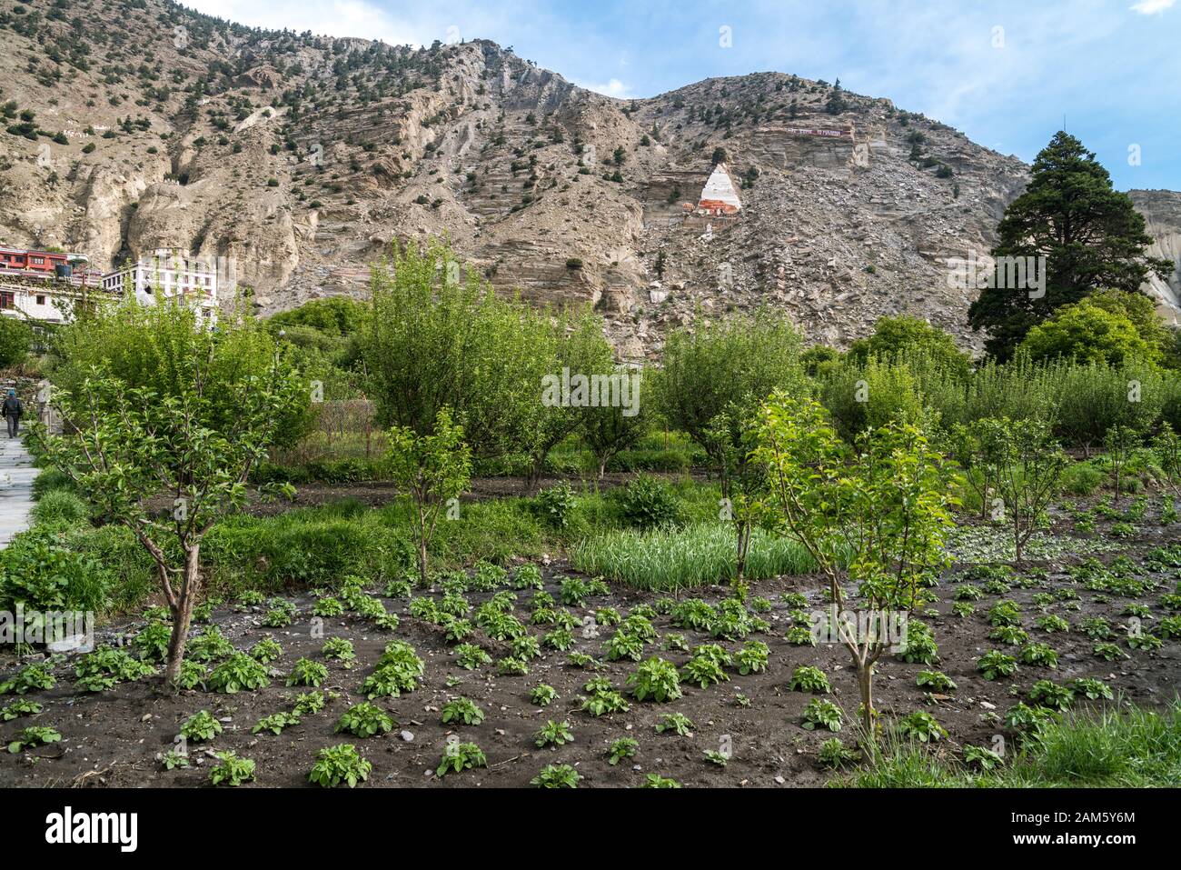 Apple trek hi-res stock photography and images - Alamy