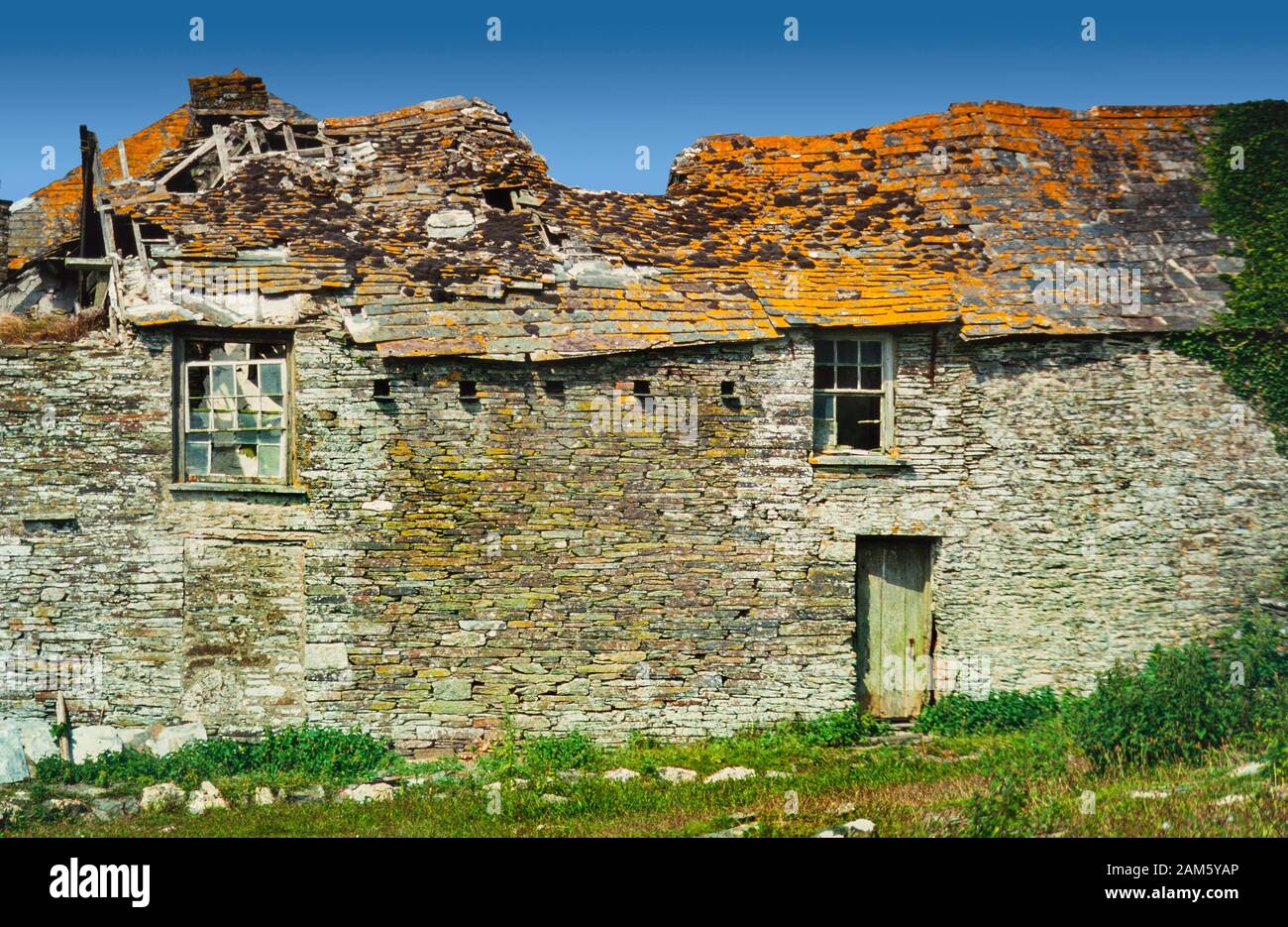 Tumbledown farm stone building, orange lichen encrusted roof, bright ...