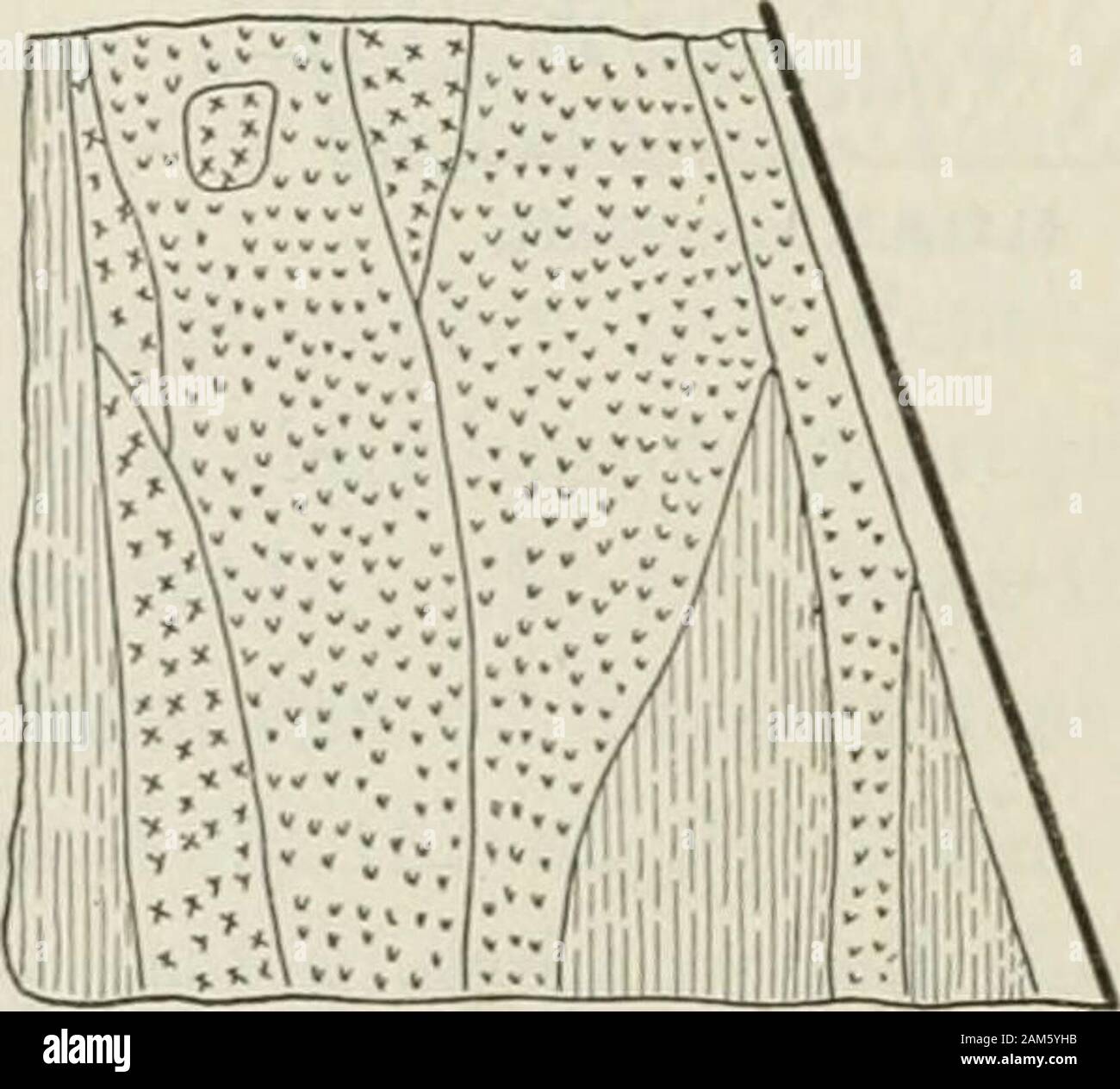 70 thousand feet hi-res stock photography and images - Alamy