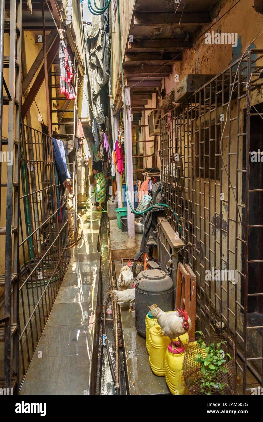 On the narrow street in Dharavi Slum at Mumbai. India Stock Photo - Alamy