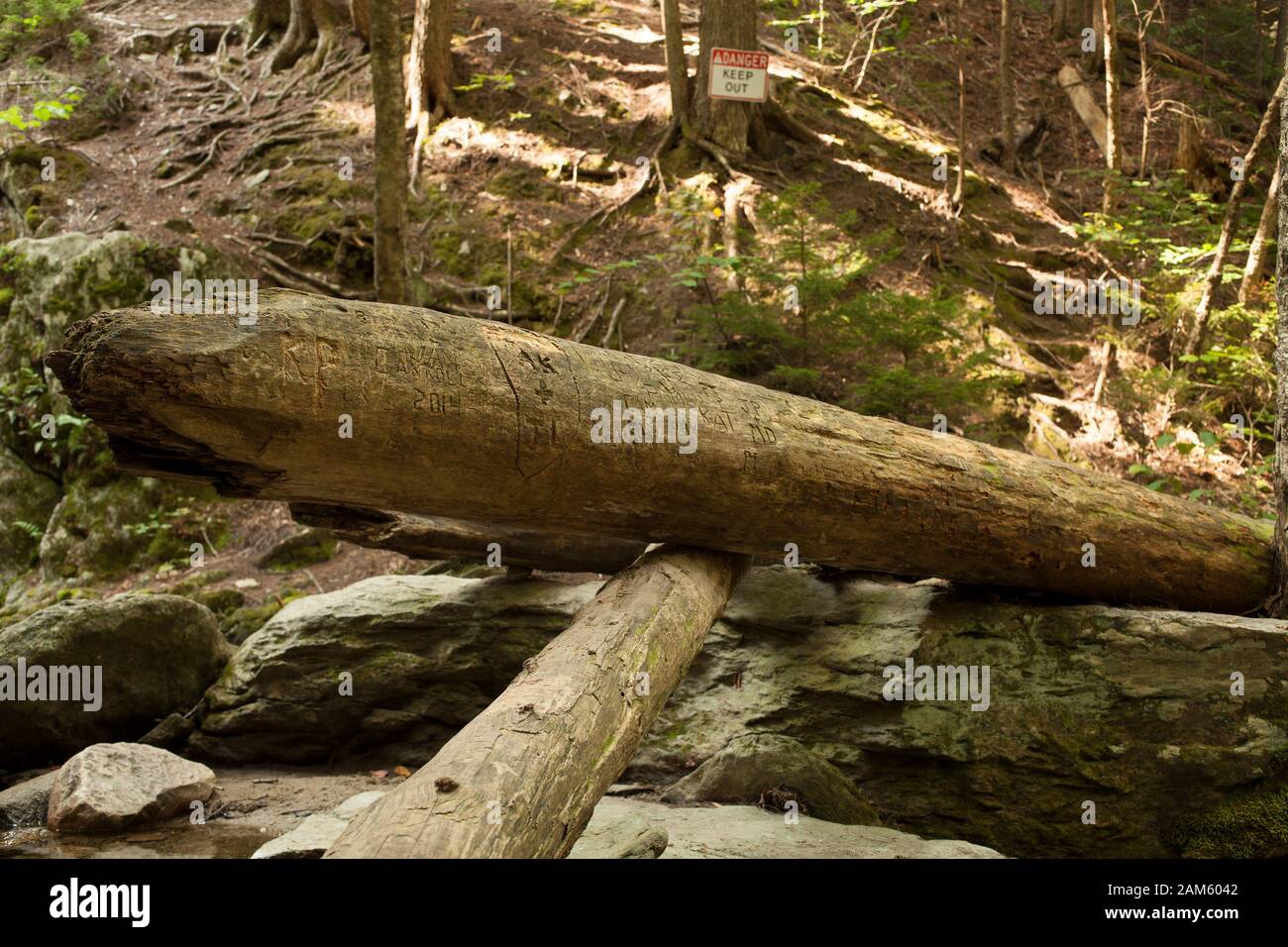 Hikers have carved names into a log along the Savoy Mountain State Park ...