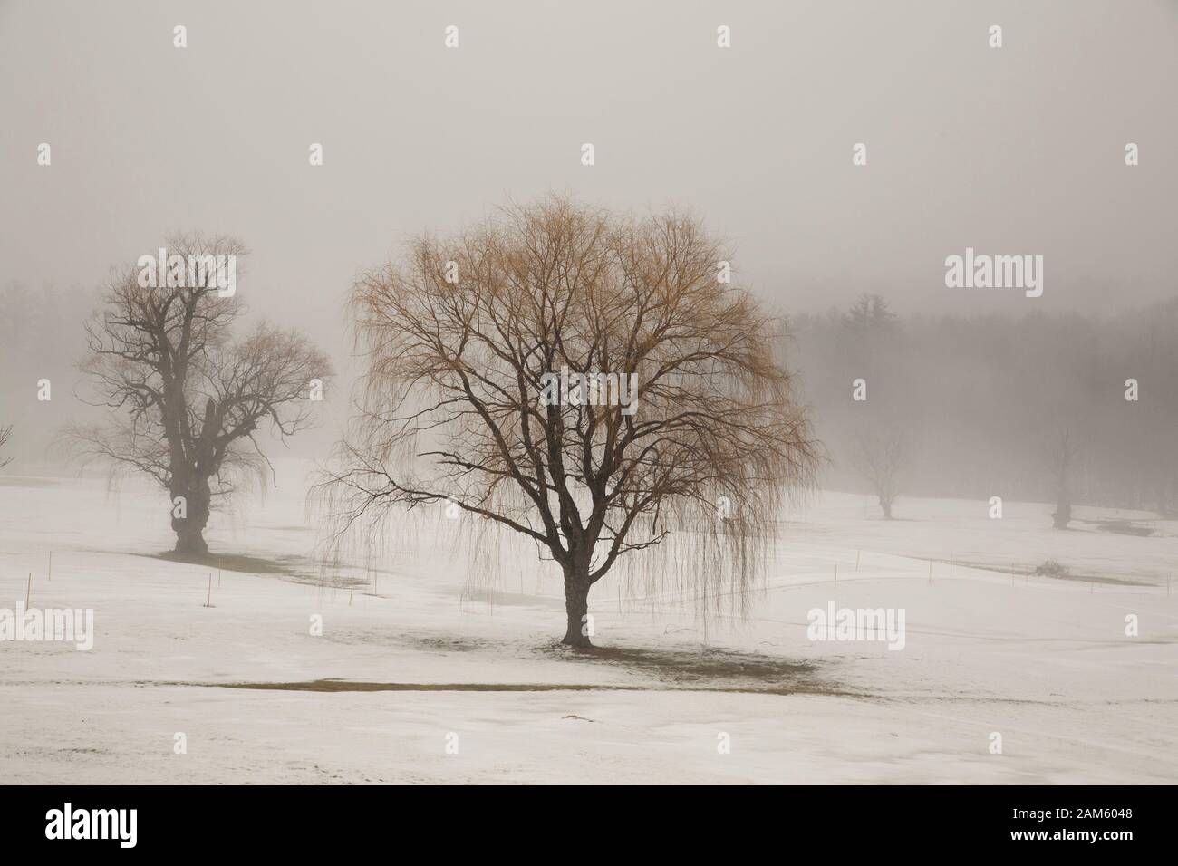 Foggy golf course hi-res stock photography and images - Alamy