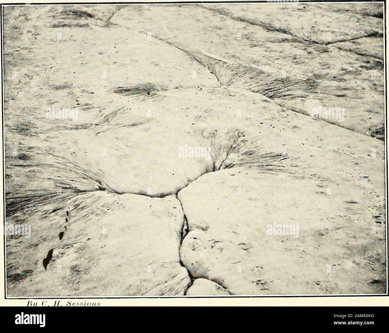 Unimposing hi-res stock photography and images - Alamy