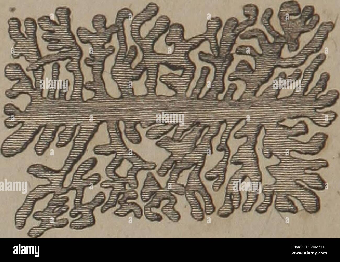 Vafa a hi-res stock photography and images - Alamy