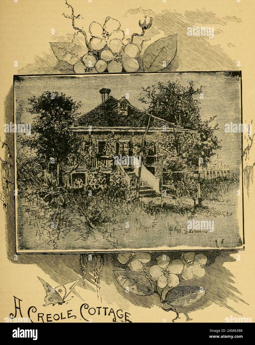 Map of creole hi-res stock photography and images - Alamy