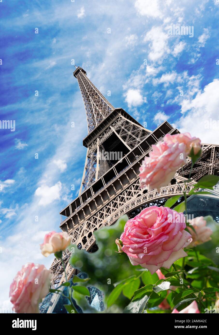 Paris famous landmarks. Eiffel Tower in blue sky with rose flowers ...