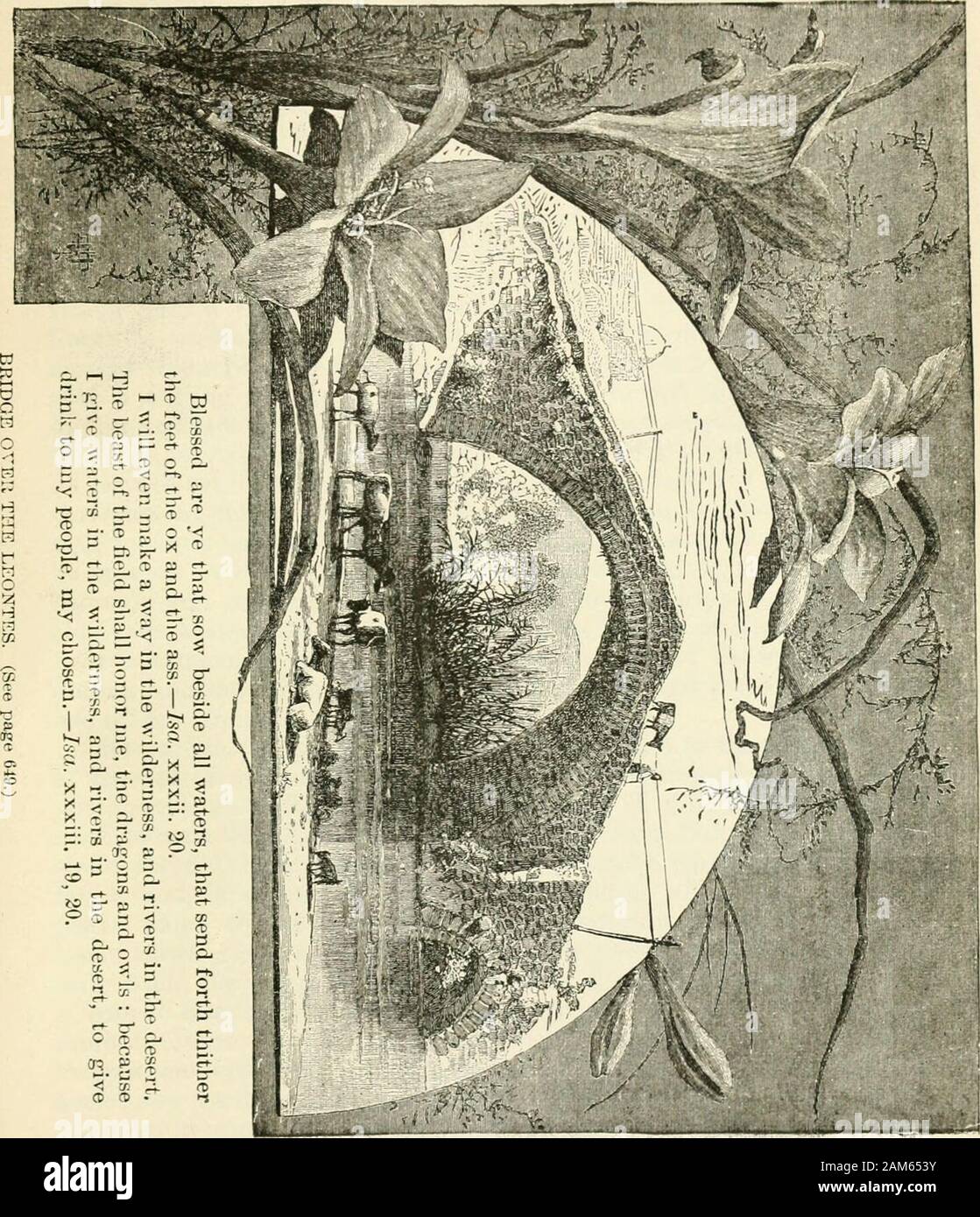 King of sidon hi-res stock photography and images - Alamy