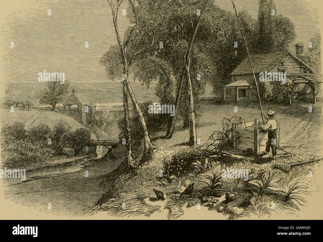 Voluptuous form hi-res stock photography and images - Alamy