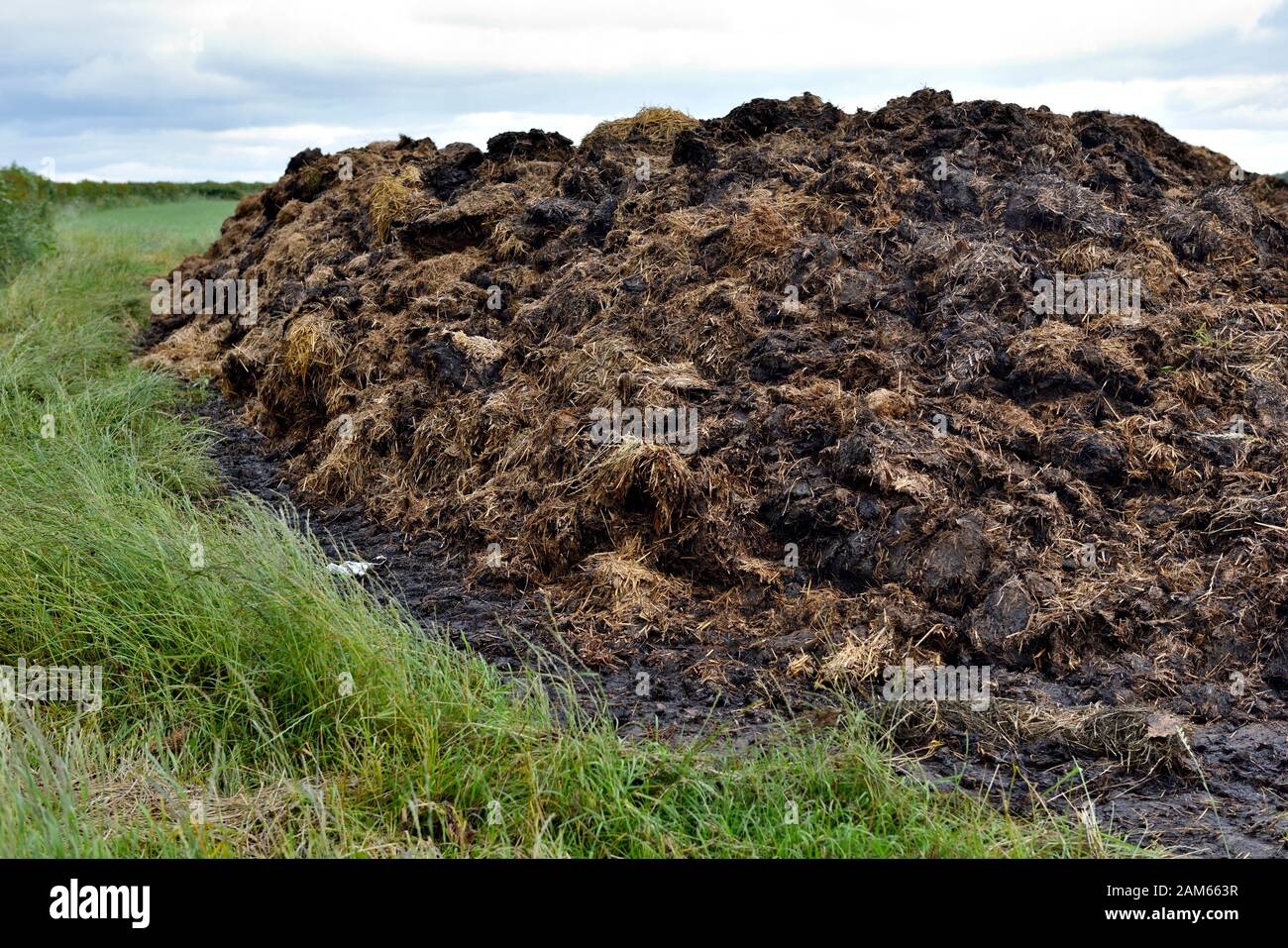 Farmyard manure hi-res stock photography and images - Alamy
