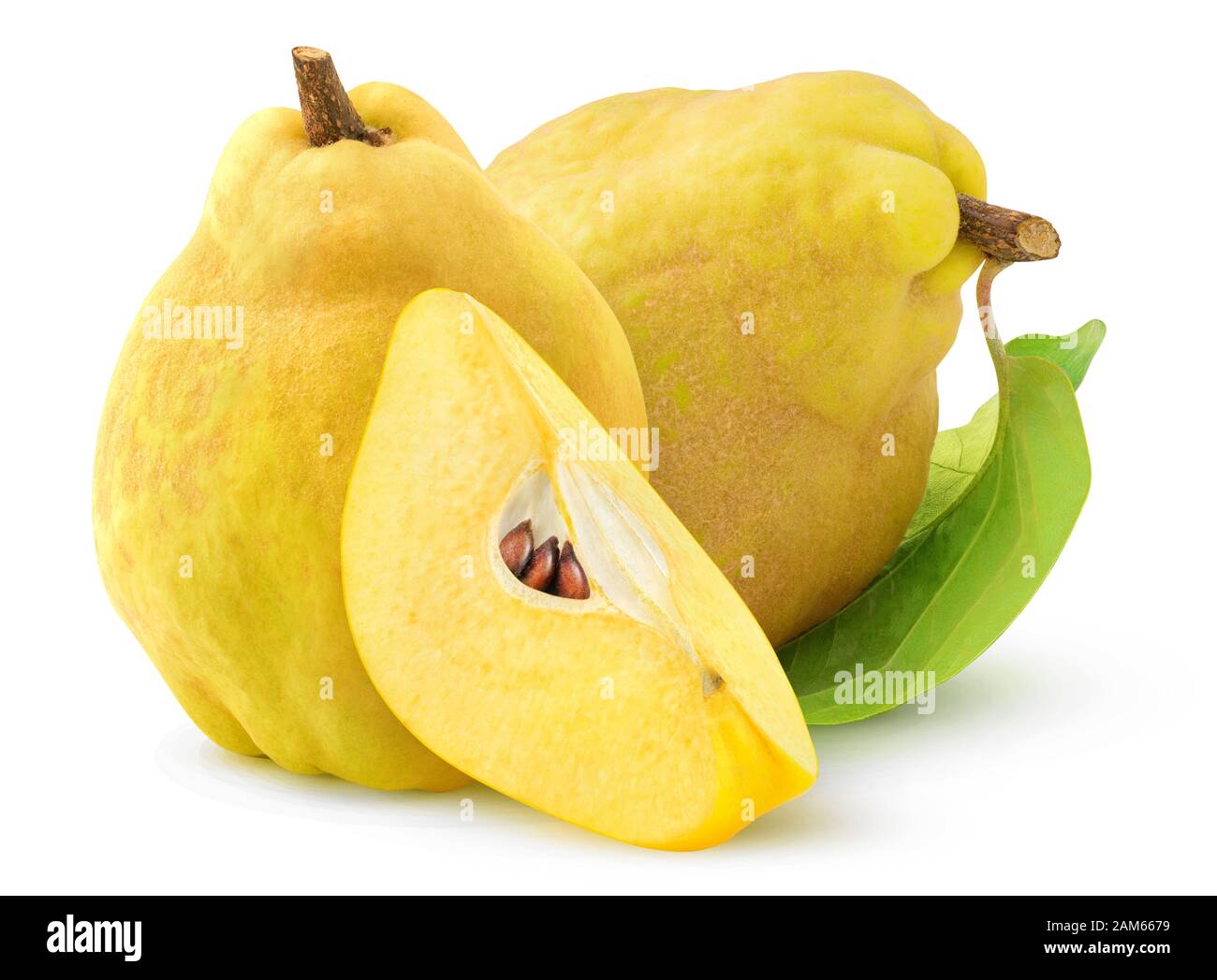 Isolated quince fruits. Two whole quinces and a slice isolated on white ...