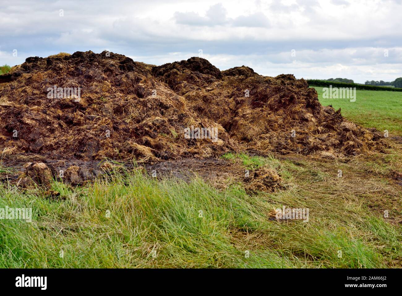 Farmyard manure hi-res stock photography and images - Alamy