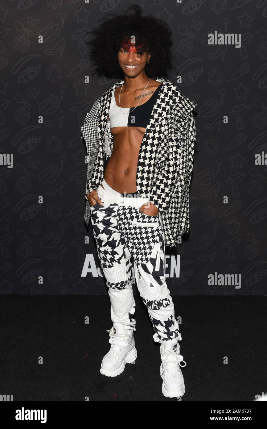 10 January 2020 - Beverly Hills, California - Ari Fitz. Netflix's ''AJ ...