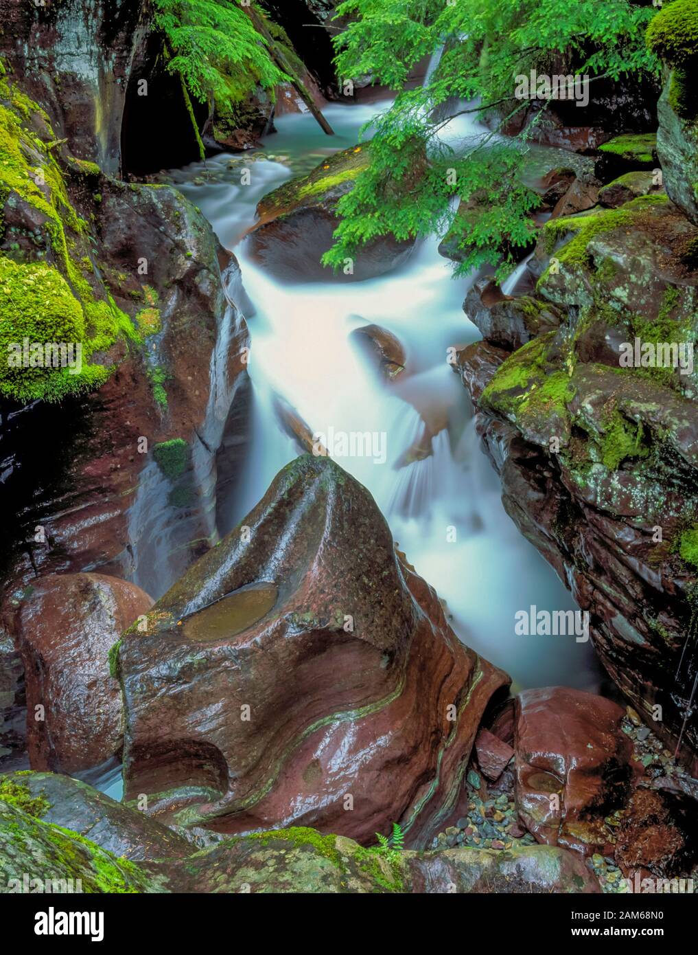 avalanche creek flowing through a narrow gorge in glacier national park ...