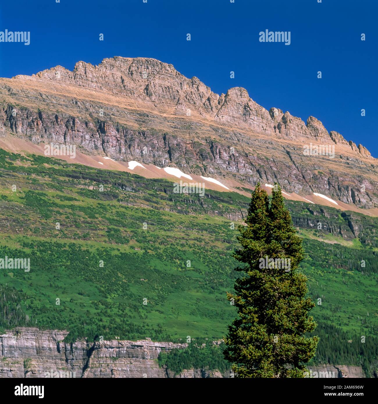 citadel mountain in glacier national park, montana Stock Photo - Alamy
