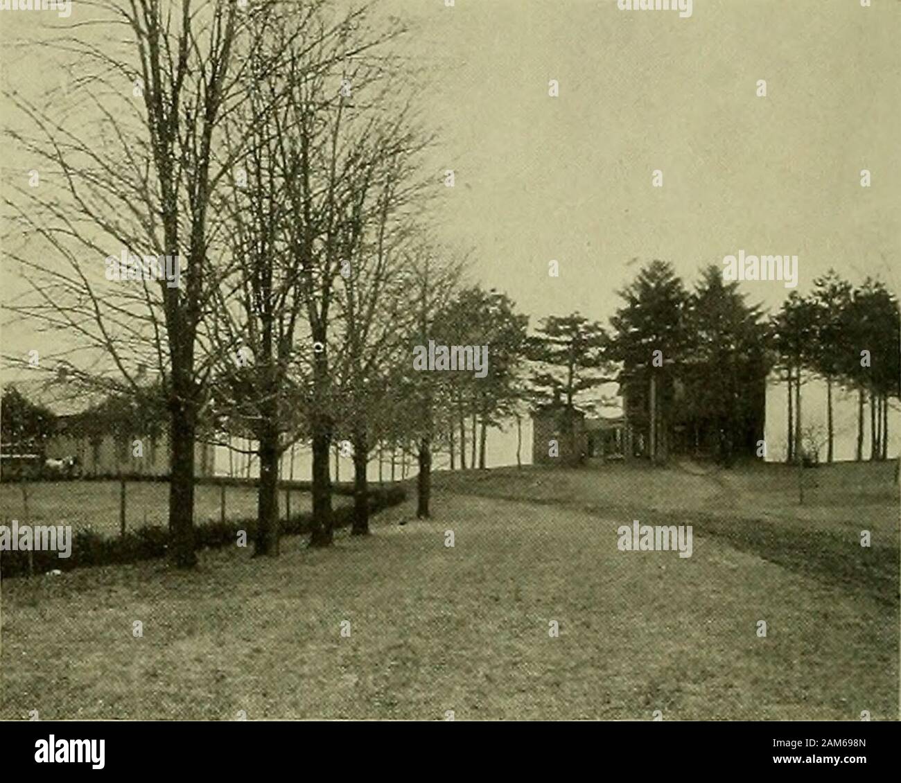 Oesterlen hi-res stock photography and images - Alamy