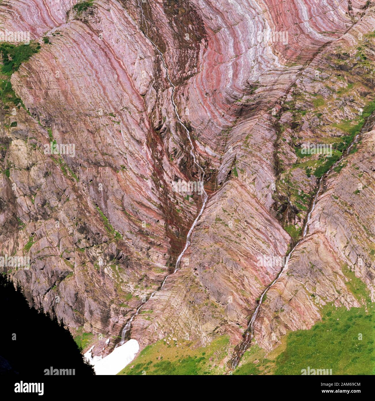 folded strata of argillite at the base of gunsight mountain in glacier ...
