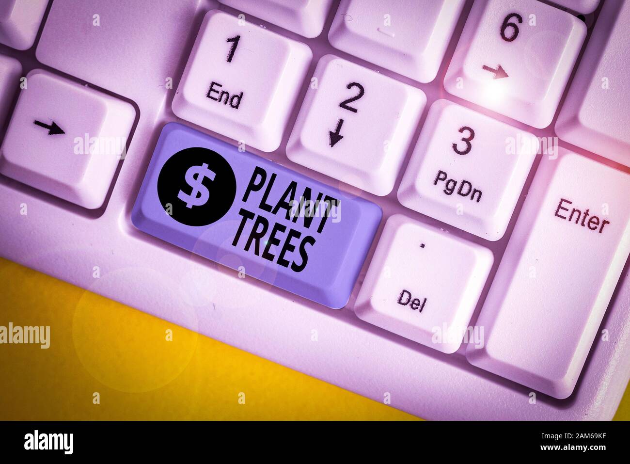 Writing note showing Plant Trees. Business concept for process of ...