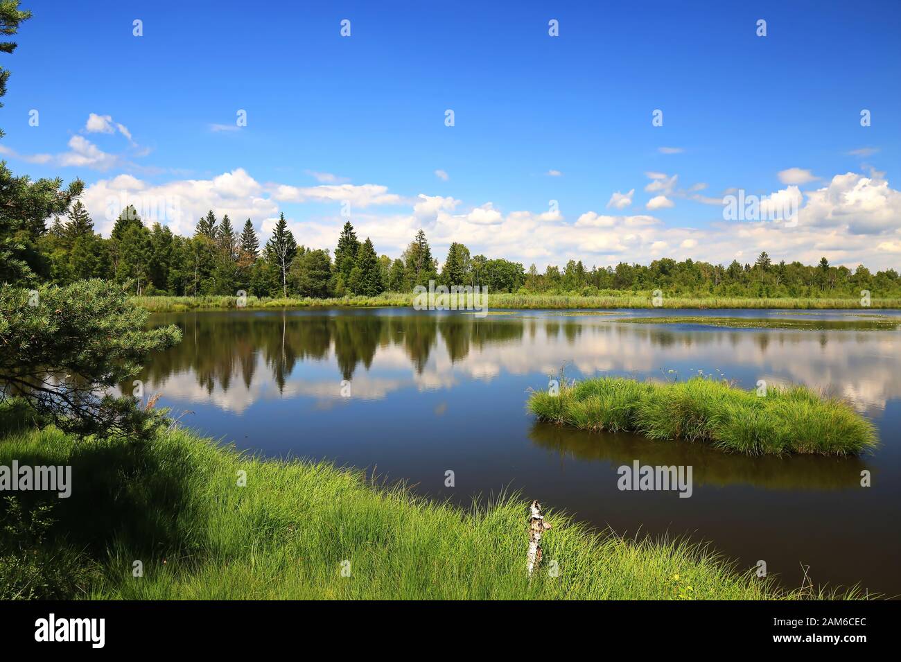 Riedsee in Bad Wurzach is a city in Bavaria, Germany, with many ...