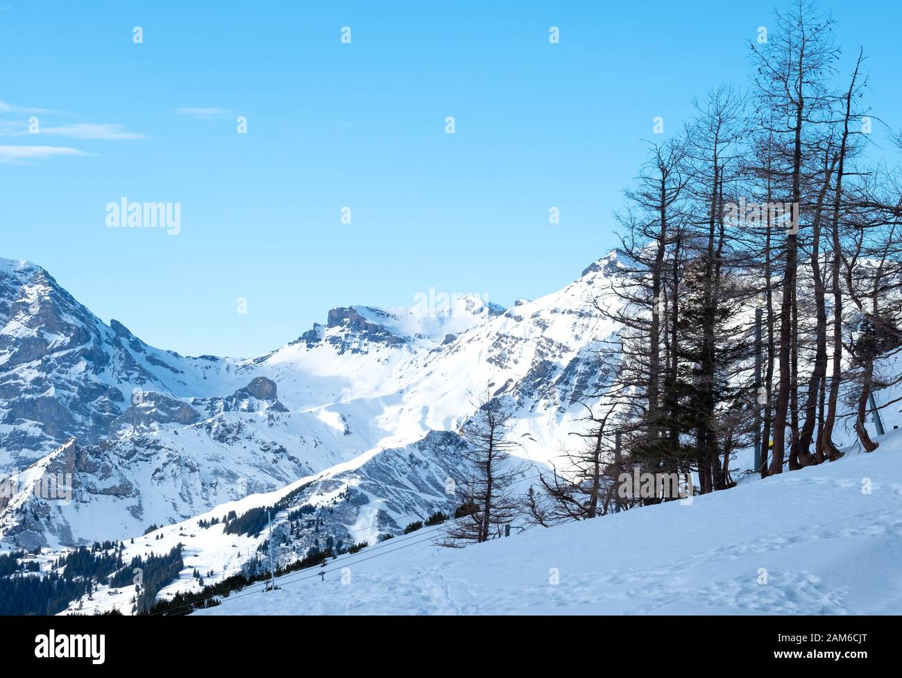 Snow on a sunny day, photographed between Kleine Scheidegg and Wengen ...