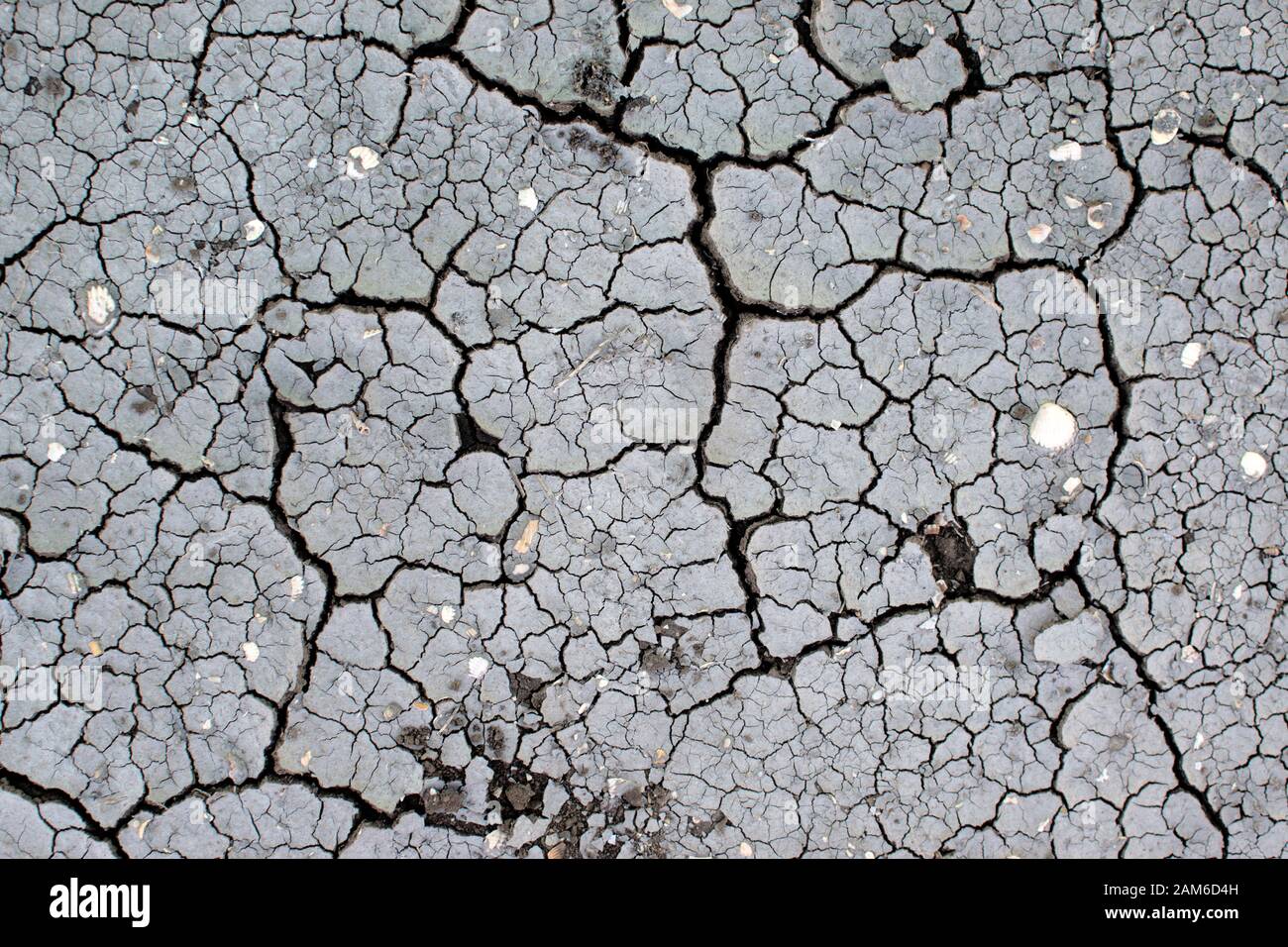 Dry cracked earth top view. Drought season on earth. Shells and dry ...
