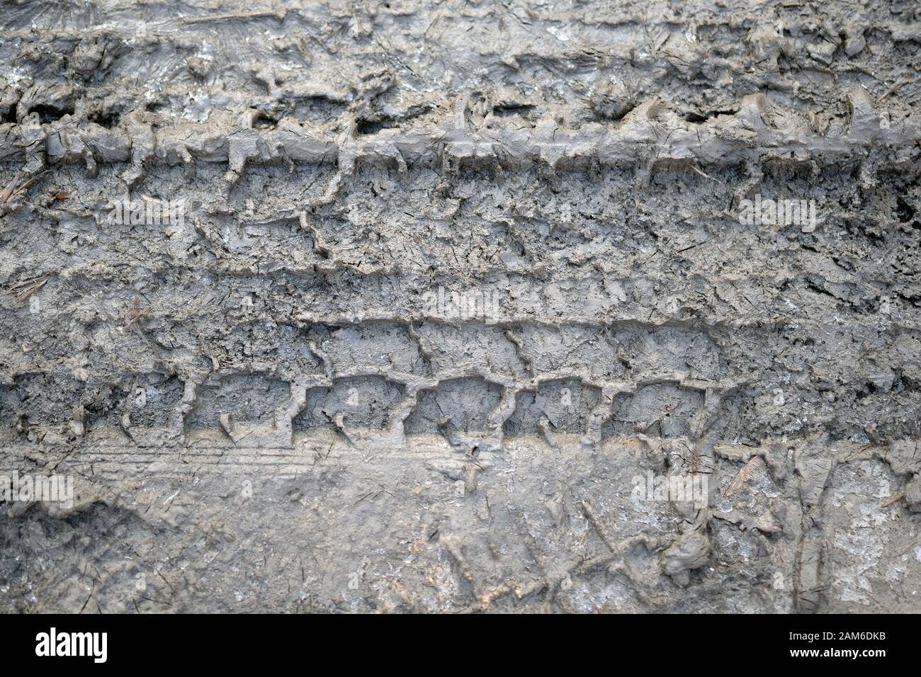Tire marks on wet ground. Dirt on the road after rain Stock Photo - Alamy