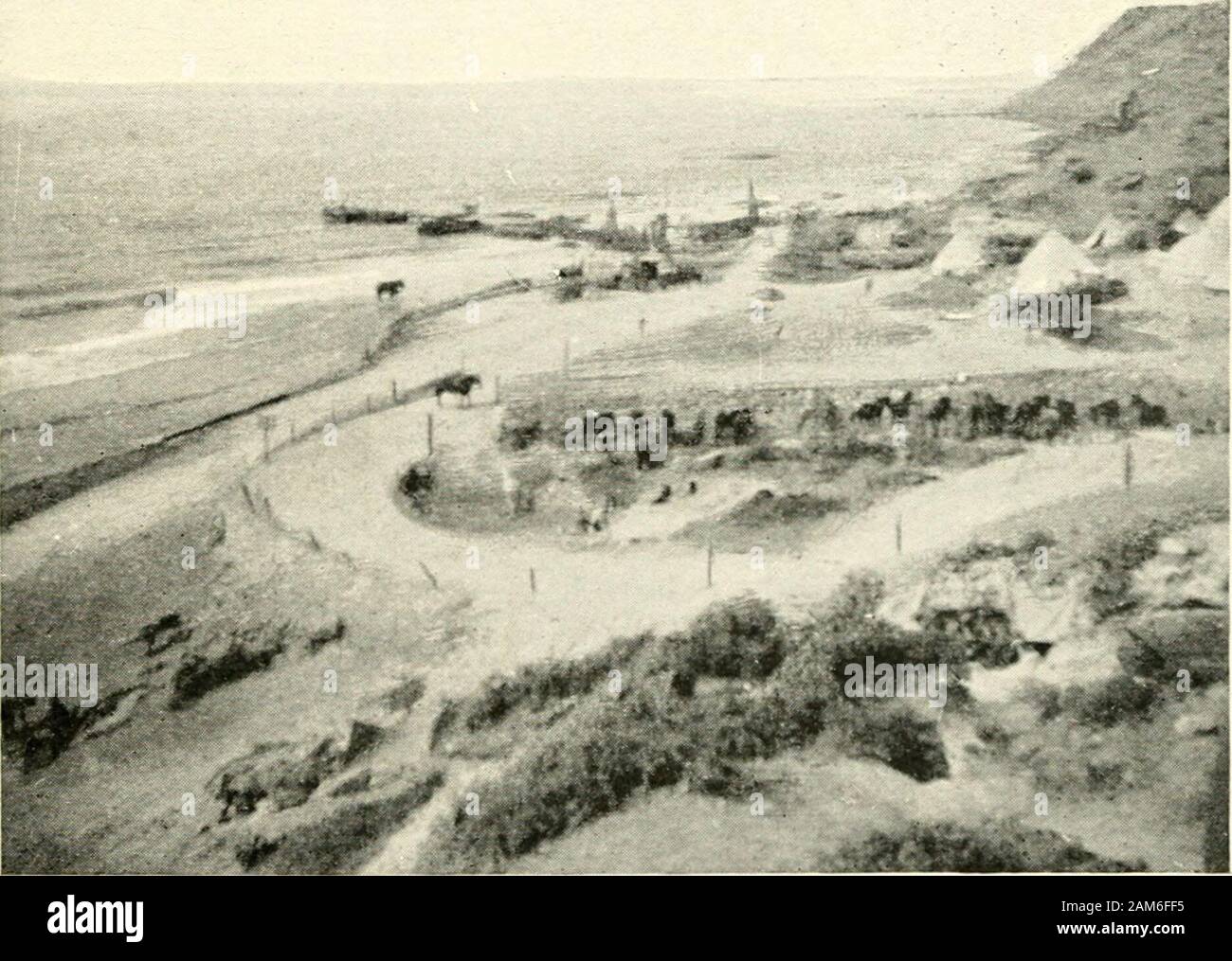 With the Twenty-ninth division in Gallipoli, a chaplain's experiences ...