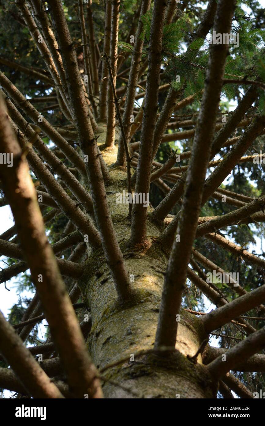 Safe pathway hi-res stock photography and images - Alamy