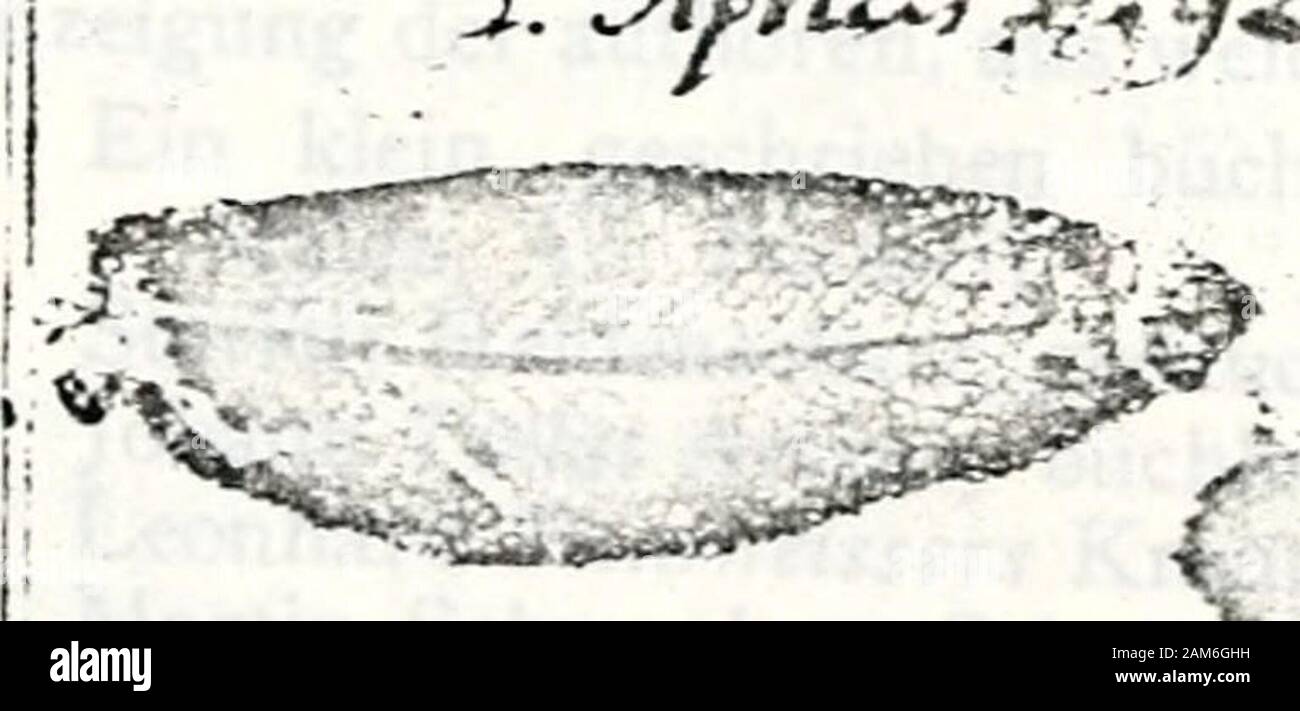 The life of Francis Daniel Pastorius, the founder of Germantown ...