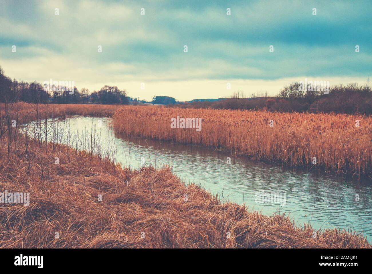 Cane spring hi-res stock photography and images - Alamy