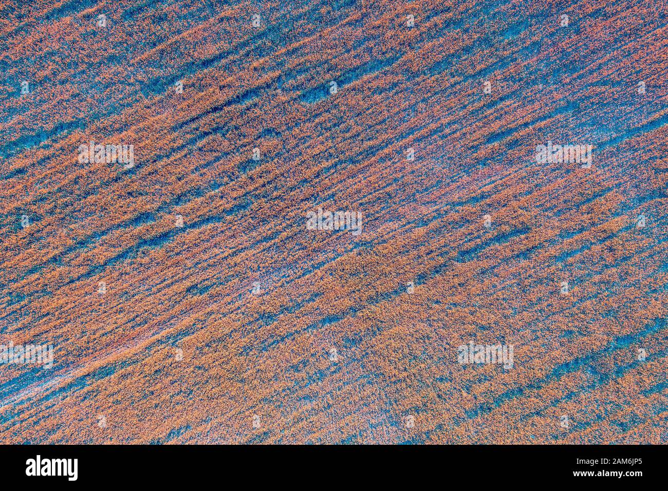 Aerial view of geometric wheat fields. Abstract nature background. Blue ...