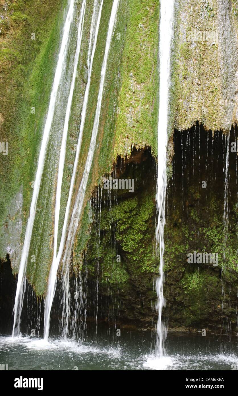 pouring water of the waterfall immersed in the dense and jungle Stock ...