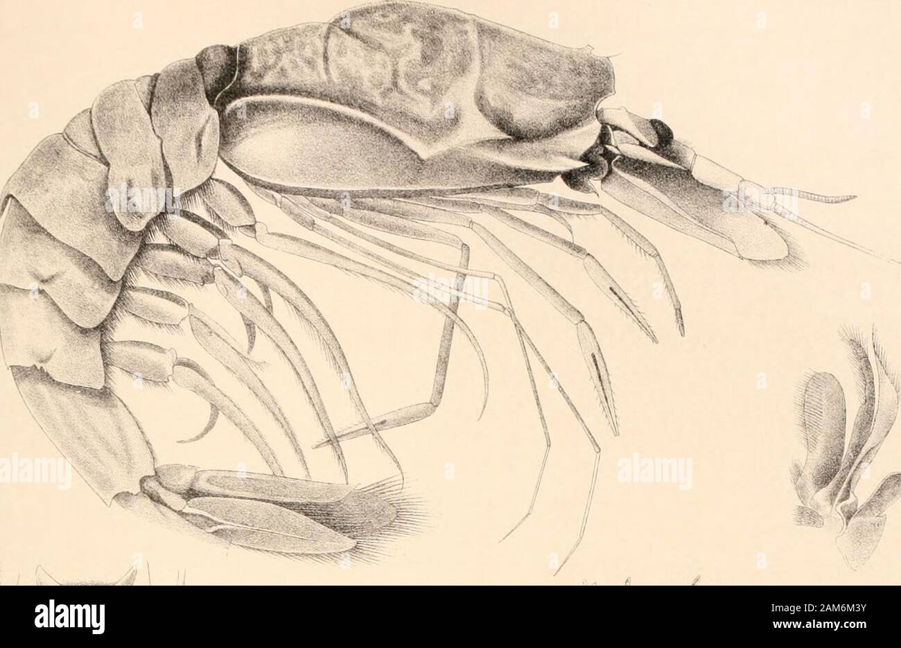 G p thomson hi-res stock photography and images - Alamy