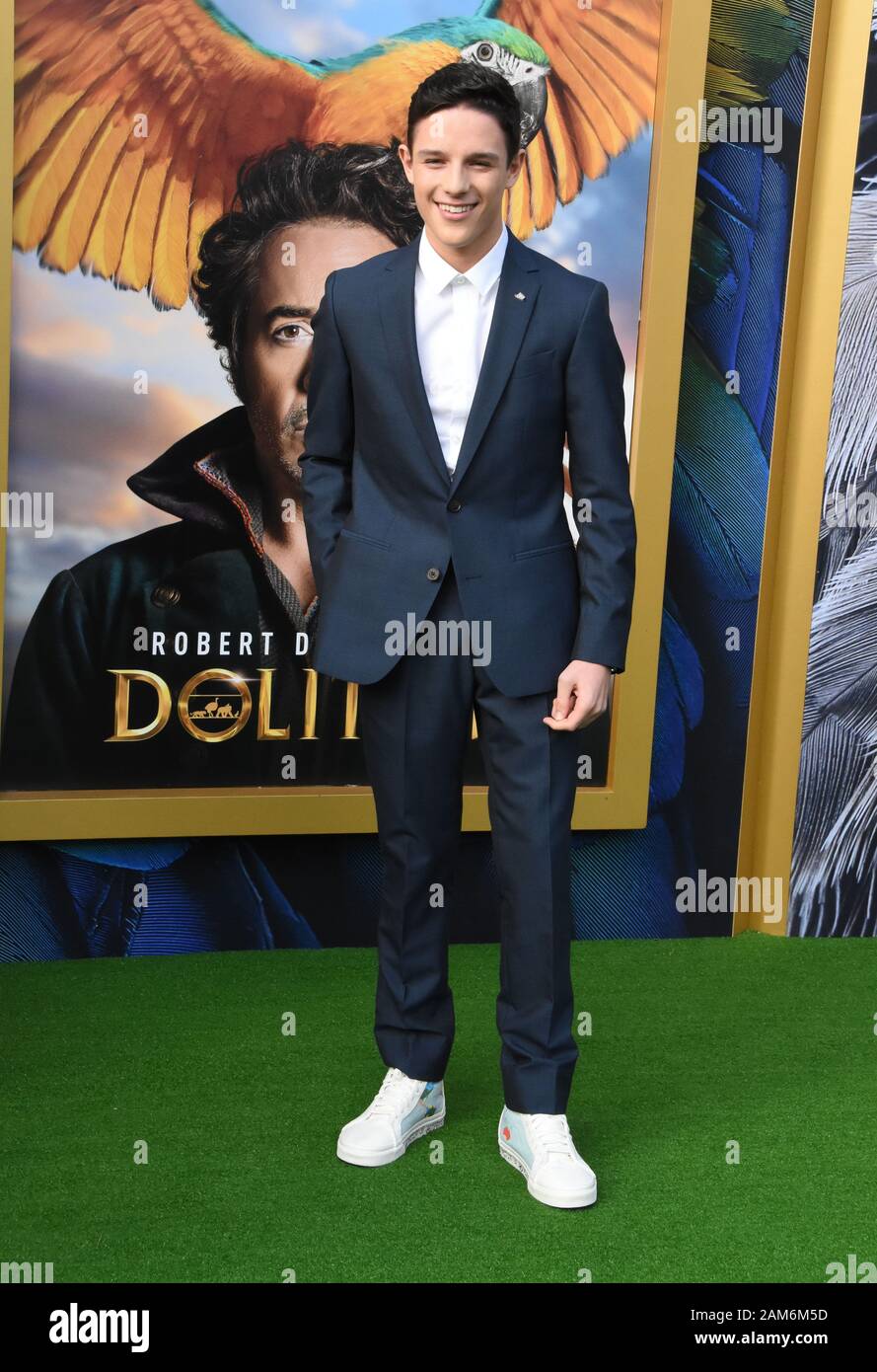 Westwood, California, USA. 11th Jan, 2020. Actor Harry Collett attends ...