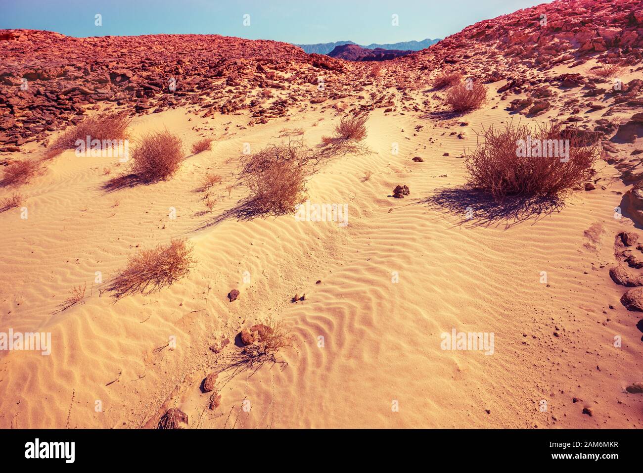 Desert nature landscape. Sandstone rocks in Timna park, Israel Stock ...
