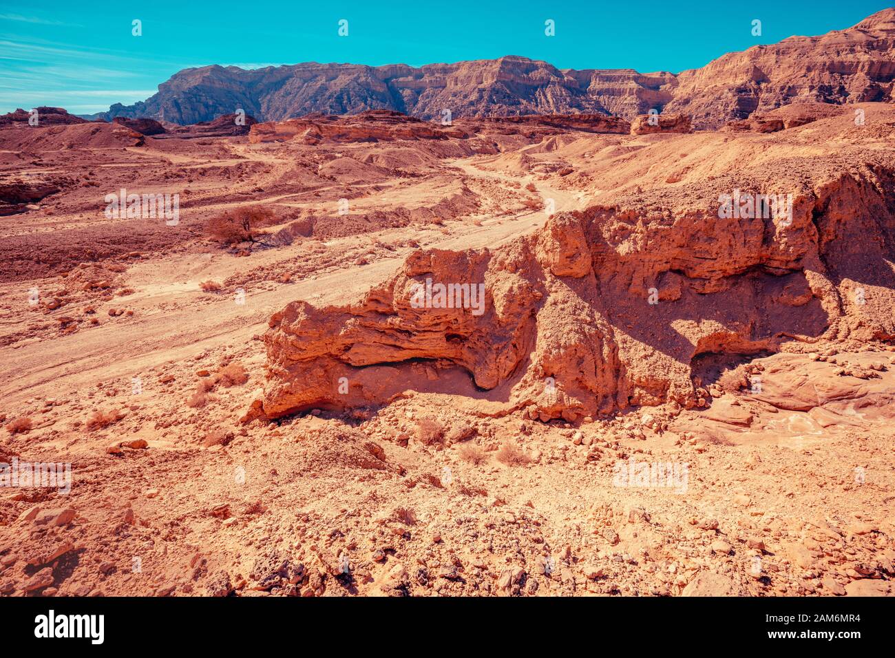 Desert nature landscape. Sandstone rocks in Timna park, Israel Stock ...