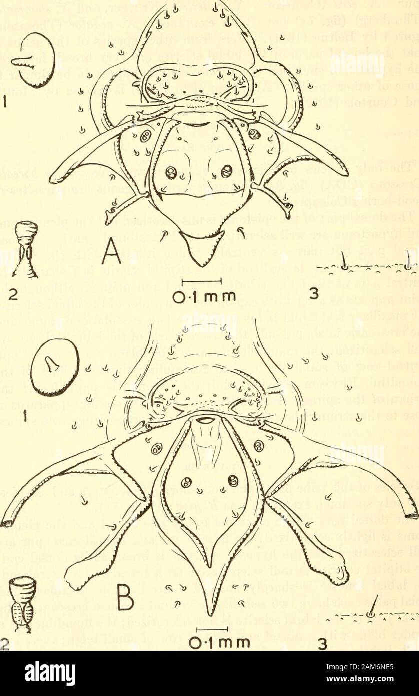 Proceedings of the United States National Museum . of this tribe ...