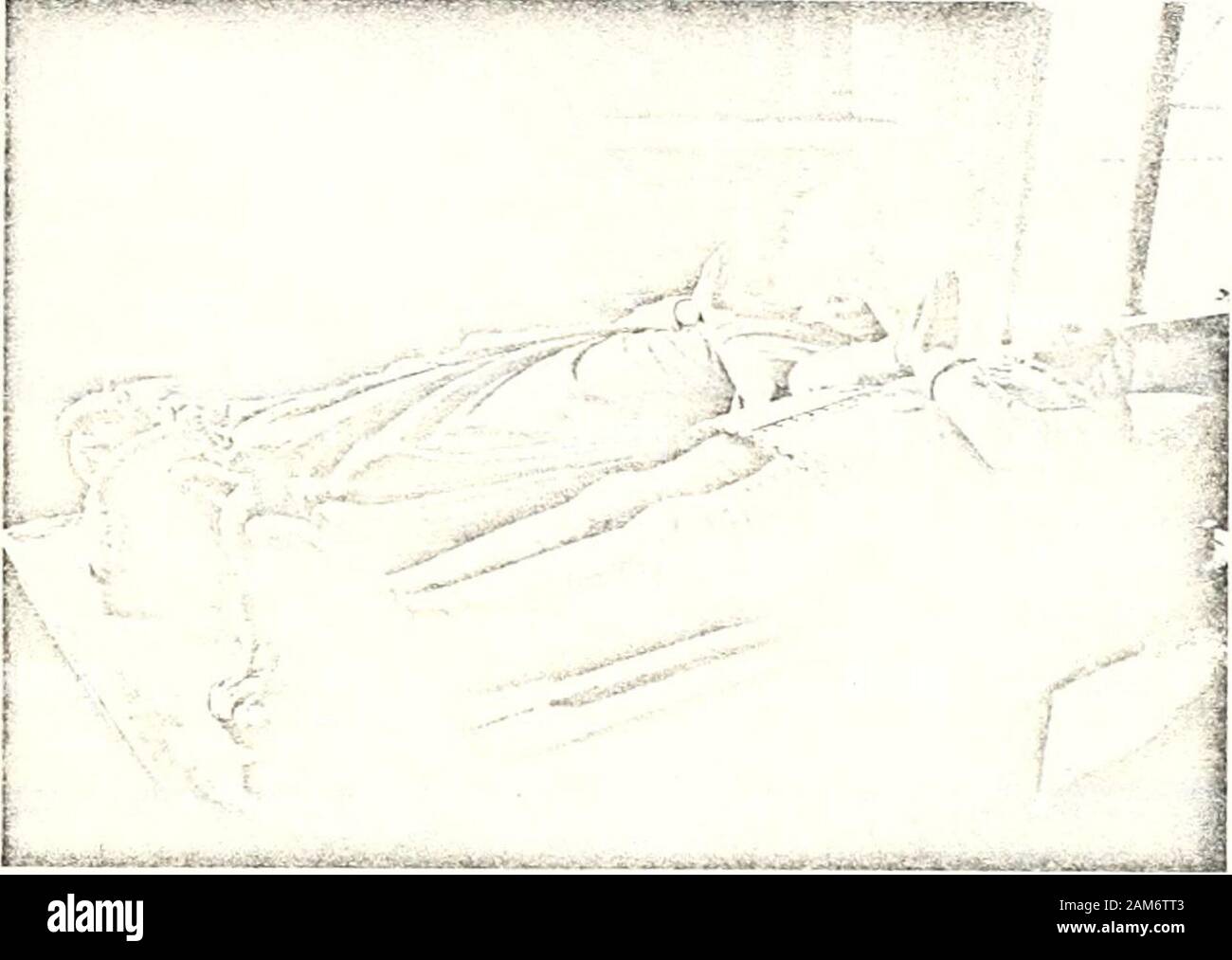 Robert mansell hi-res stock photography and images - Alamy