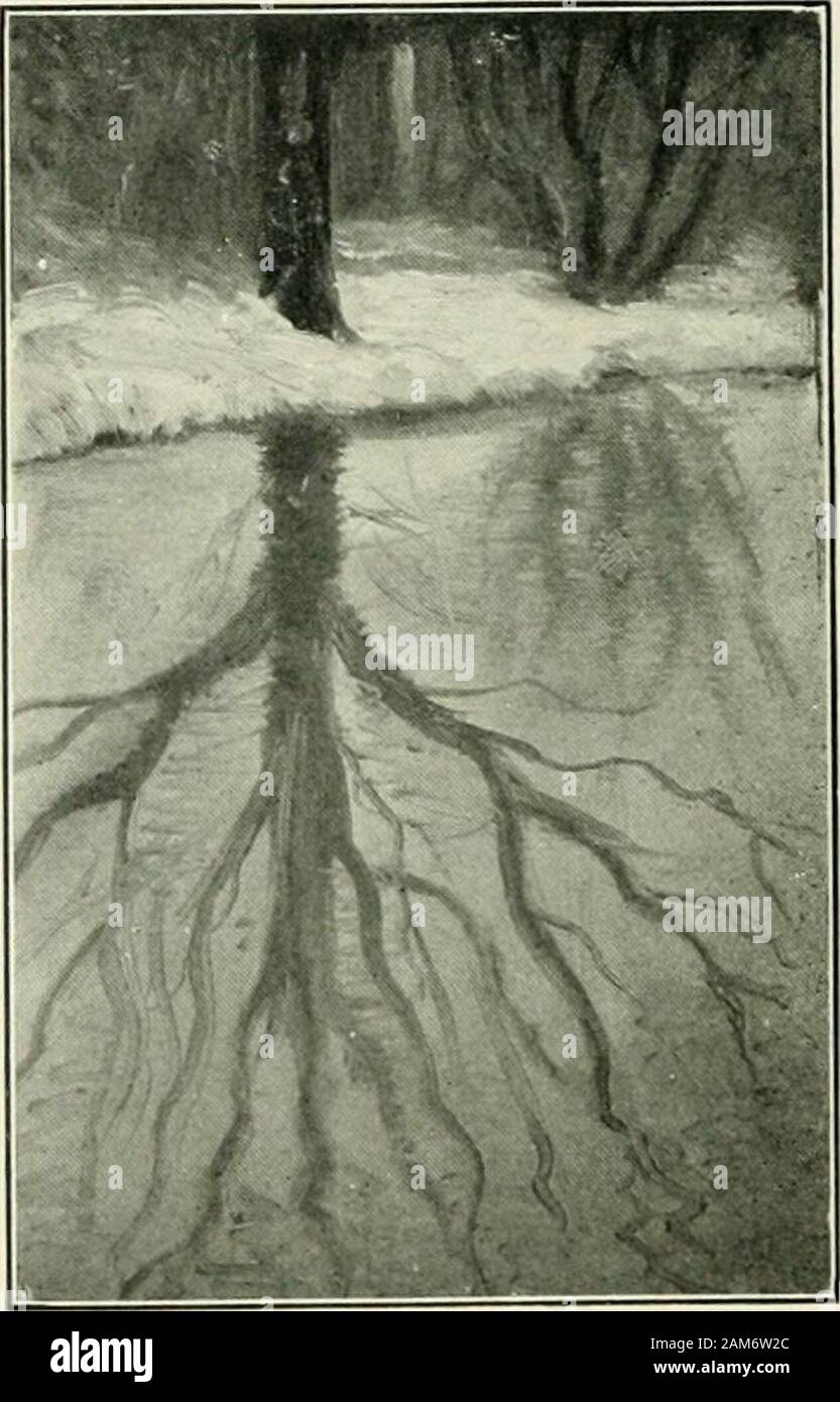Pictorial composition and the critical judgment of pictures; a handbook ...