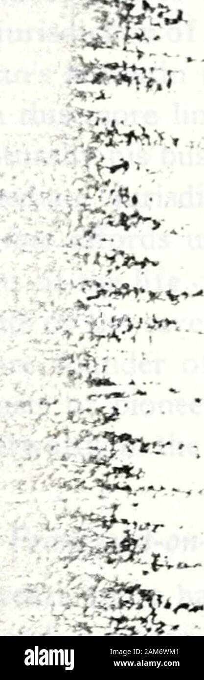 The life of Francis Daniel Pastorius, the founder of Germantown ...