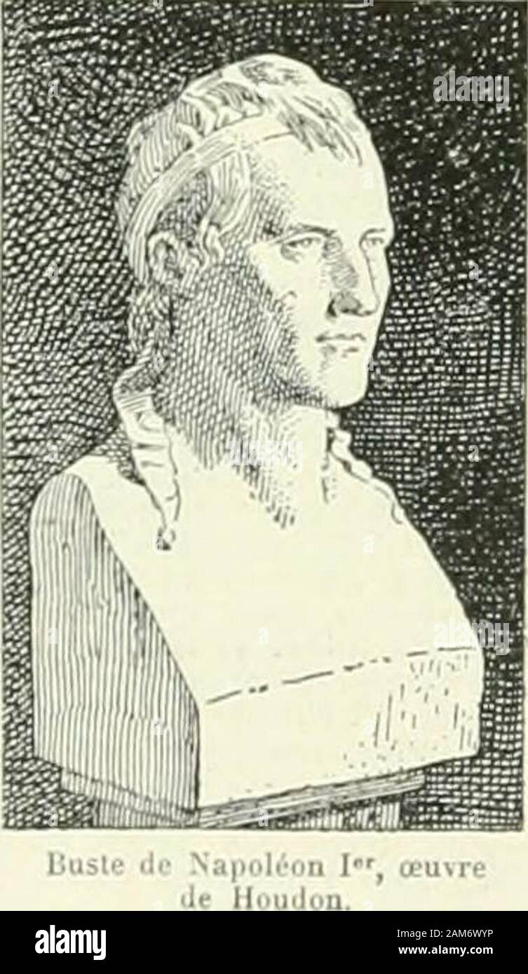 Sagiu hi-res stock photography and images - Alamy