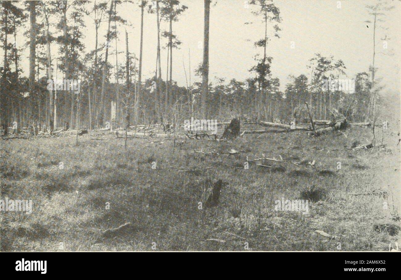 330 feet long hi-res stock photography and images - Alamy